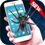 Real Spider Crawl In Screen Prank Classic for PC - How to Install on ...