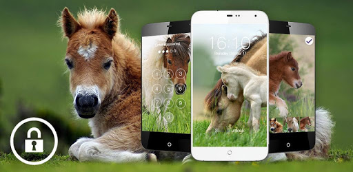 Cute Pony 4K Screen Lock for PC - How to Install on Windows PC, Mac