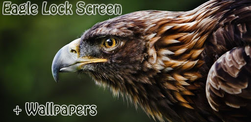 Eagle Lock Screen & Wallpaper for PC - How to Install on Windows PC, Mac