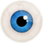 Focus Game for PC - How to Install on Windows PC, Mac