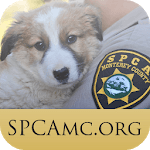 The SPCA for PC - How to Install on Windows PC, Mac