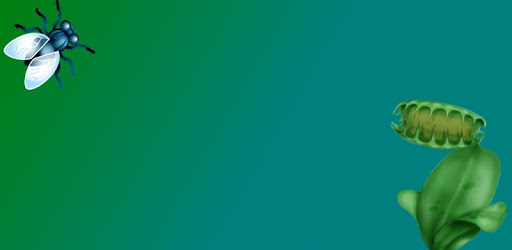 Flytrap for PC - How to Install on Windows PC, Mac