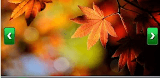 P2P WIFI camera for PC - How to Install on Windows PC, Mac
