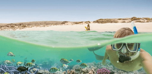 Experience WA for PC - How to Install on Windows PC, Mac