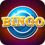 Classic Bingo Hall for PC - How to Install on Windows PC, Mac