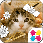Cat Wallpaper Chaton for PC - How to Install on Windows PC, Mac