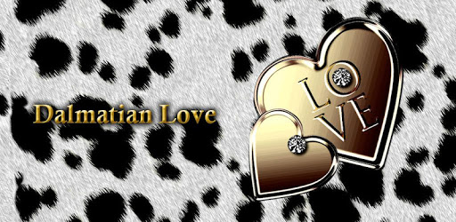 Dalmatian Love Wallpaper for PC - How to Install on Windows PC, Mac