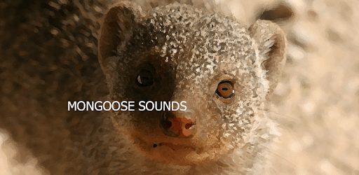 Mongoose sounds ~ Sboard.pro for PC - How to Install on Windows PC, Mac