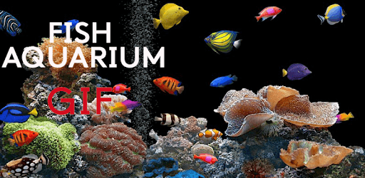 Fish Aquarium GIF for PC - How to Install on Windows PC, Mac