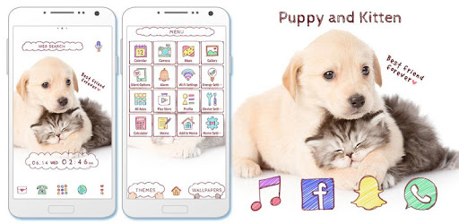 Cute Animal Wallpaper Puppy and Kitten Theme for PC - How to Install on ...