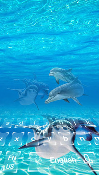 Dolphin keyboard Dolphin theme ocean The sea APK Download For Free