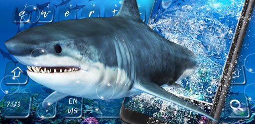 Ocean Shark Keyboard Theme for PC - How to Install on Windows PC, Mac