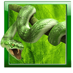 Snake Live Wallpaper for PC - How to Install on Windows PC, Mac
