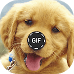 Puppies Gif Pictures for PC - How to Install on Windows PC, Mac