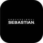 Sebastian Professional for PC - How to Install on Windows PC, Mac