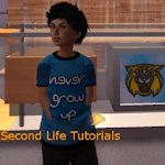 APKFUN Second Life Tutorials for PC - How to Install on Windows PC, Mac
