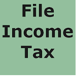 PDF book - Income Tax Return File Guide for PC - How to Install on ...