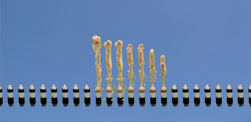 Mentos Diet Coke Fountain for PC - How to Install on Windows PC, Mac