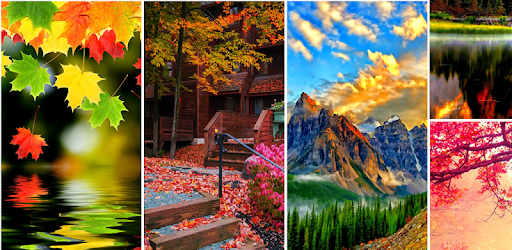 Backgrounds HD (Wallpapers) for PC - How to Install on Windows PC, Mac