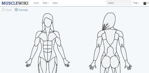 MuscleWiki Fitness for PC - How to Install on Windows PC, Mac