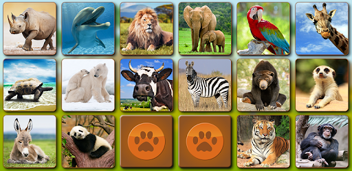 Zoo Animals : Game for Kids for PC - How to Install on Windows PC, Mac