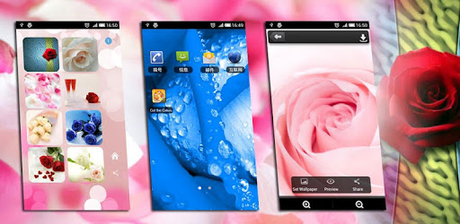 Roses flower Wallpapers for PC - How to Install on Windows PC, Mac