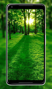 Green Wallpaper APK Download For Free
