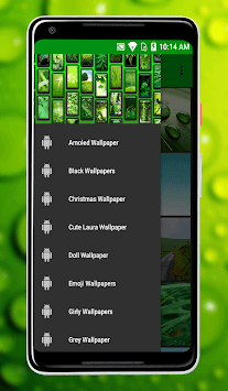 Green Wallpaper APK Download For Free