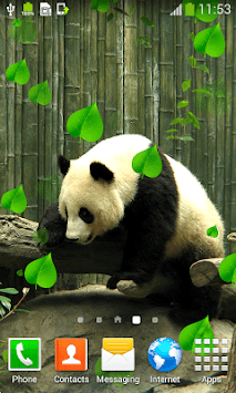 Cute Panda Live Wallpapers APK Download For Free