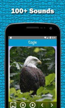 Animal Sounds FREE APK Download For Free