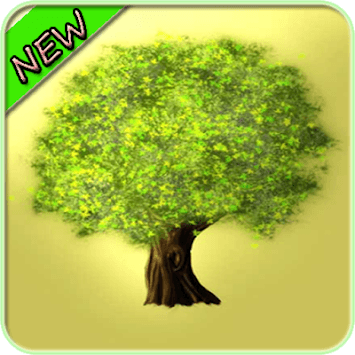 How To Draw Trees APK Download For Free