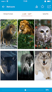 Ferocious beast Animal Wallpaper APK Download For Free