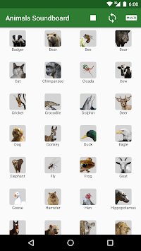 Animals Soundboard APK Download For Free