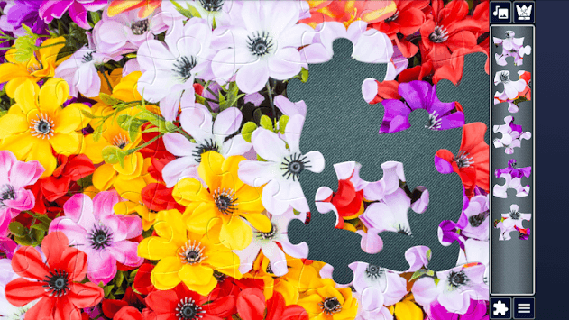 Jigsaw - Free Memorize Puzzle APK Download For Free