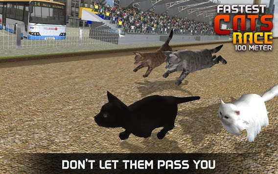 Fastest Cats Race - 100 Meter APK Download For Free