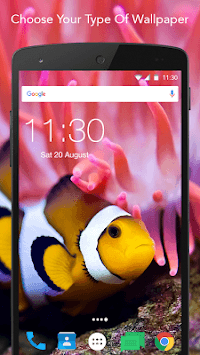 Betta Fish Live Wallpaper APK Download For Free