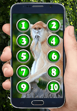 Monkey Sounds APK Download For Free