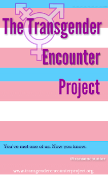 Transgender Encounter Project APK Download For Free