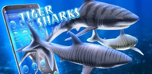 3D tiger sharks theme for PC - How to Install on Windows PC, Mac
