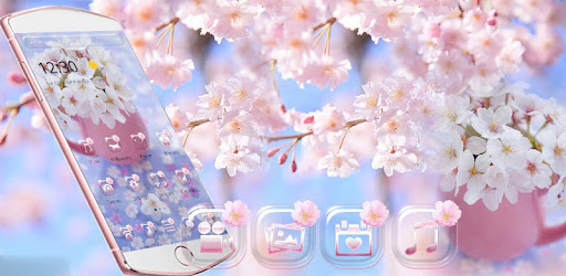 Sakura Flower Theme Wallpaper for PC - How to Install on Windows PC, Mac