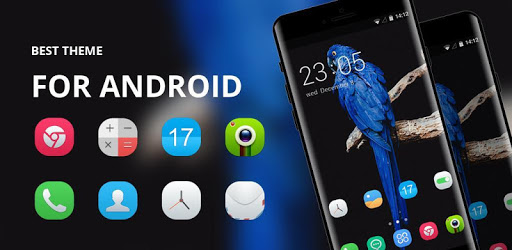 Theme for blue parrot bird branch wallpaper APK Download For Free