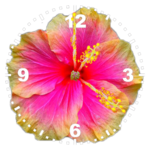 Hibiscus Clock for PC - How to Install on Windows PC, Mac