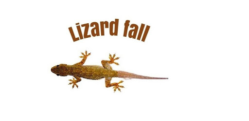 Lizard Fall for PC - How to Install on Windows PC, Mac