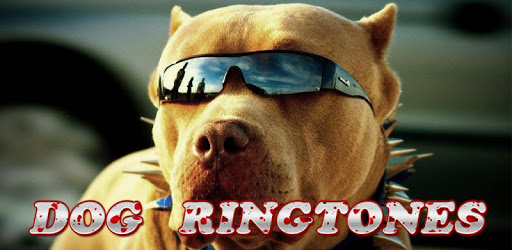 Dog Ringtones and Wallpapers for PC - How to Install on Windows PC, Mac